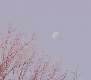 A Sliver of Silver | The Oxford Centre for Life-Writing